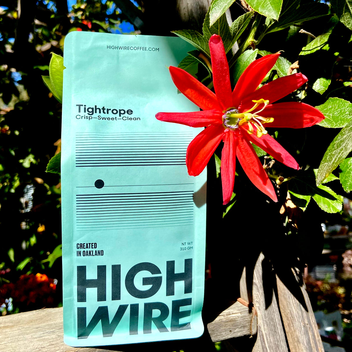 Coffee of the Week: Tightrope – Highwire Coffee Roasters